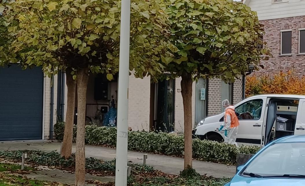 Hij organiseerde schaaktoernooien in scholen en “was de kalmte zelve” : wie is Geert V.W. die ...